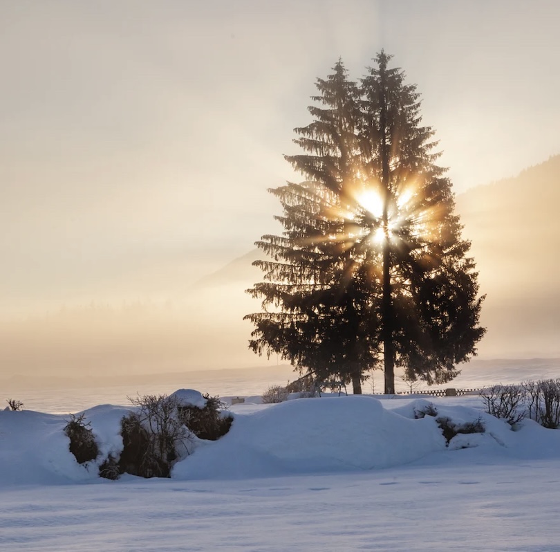 Happy Winter Solstice! – Susanne Perry Publishing